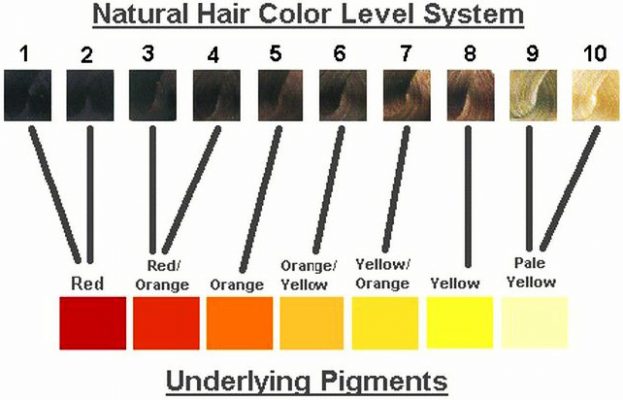 Hair pre-pigmentation before coloring. How to make light brown, gray hair